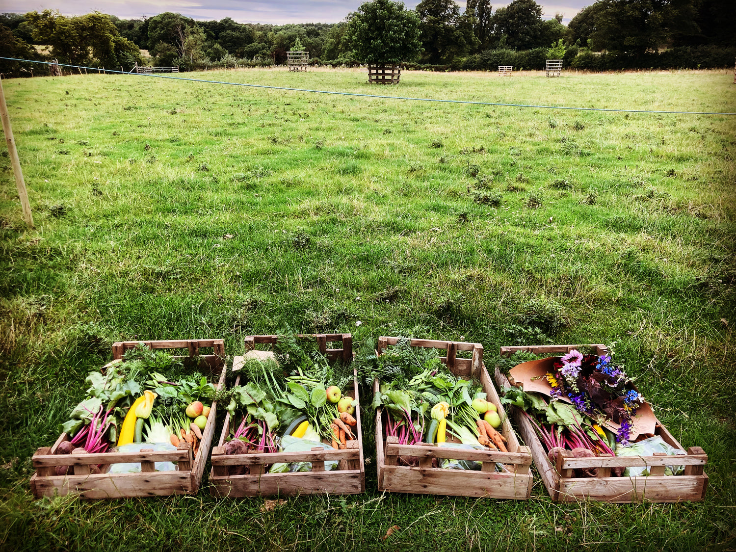The vegetarian farmer - March 2022 – Kiddal Quarry Farm